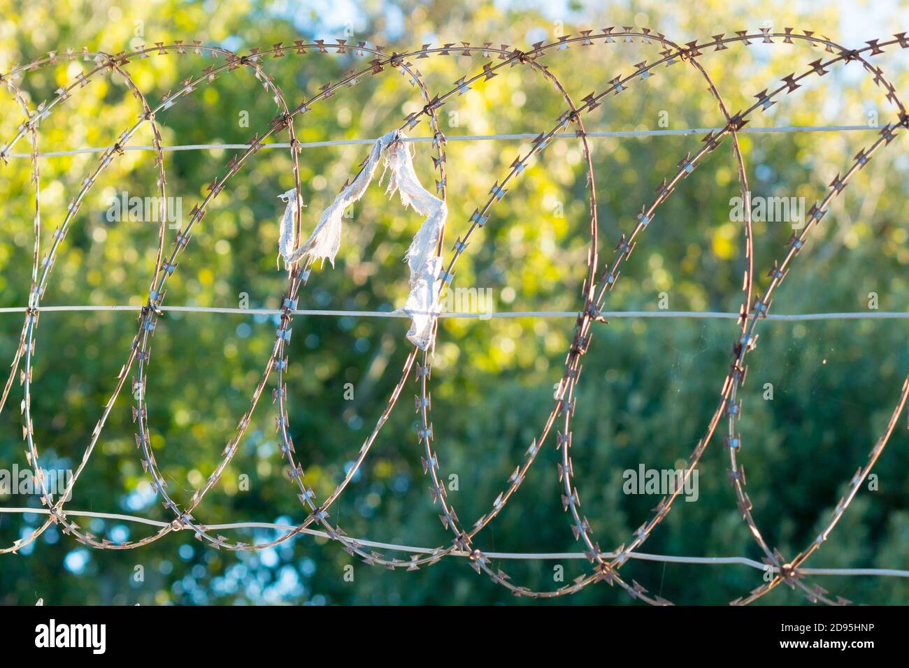 razor wire, close up on a fence with a piece of material or cloth ...