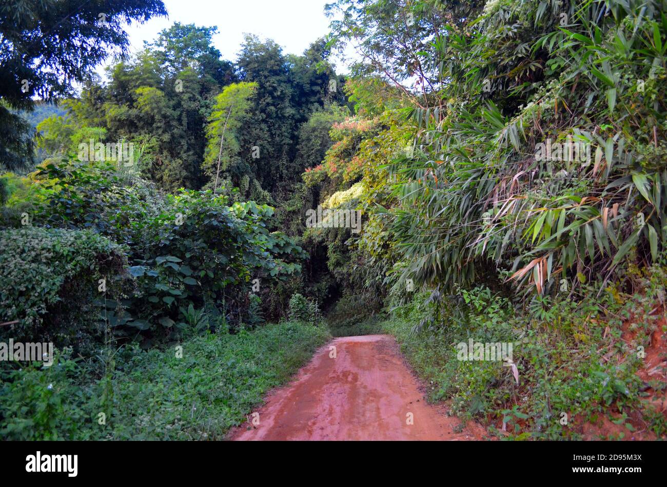 Yafu hi-res stock photography and images - Alamy