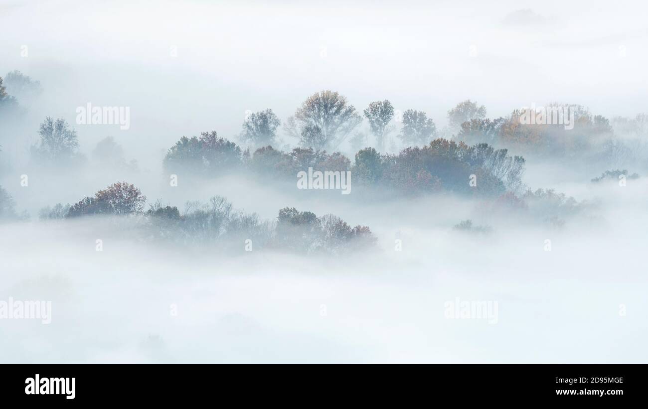 Autumn landscape with fog and trees Stock Photo - Alamy