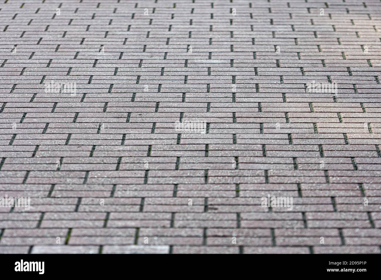 perspective view monotone gray brick stone pavement, texture background ...
