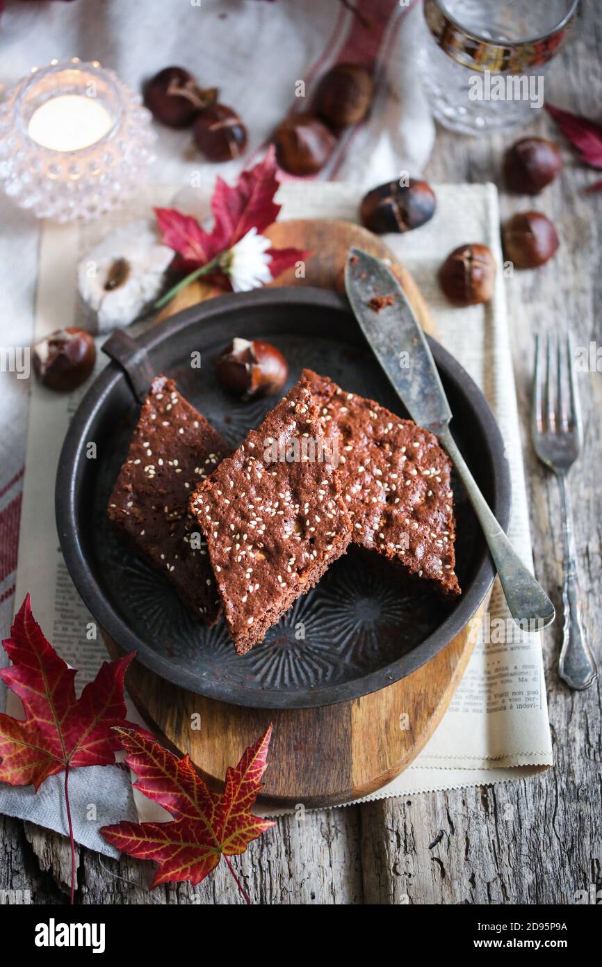 Chestnut, cocoa brownie Stock Photo - Alamy