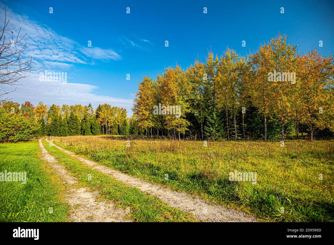 Autumn in Estonia Stock Photo - Alamy