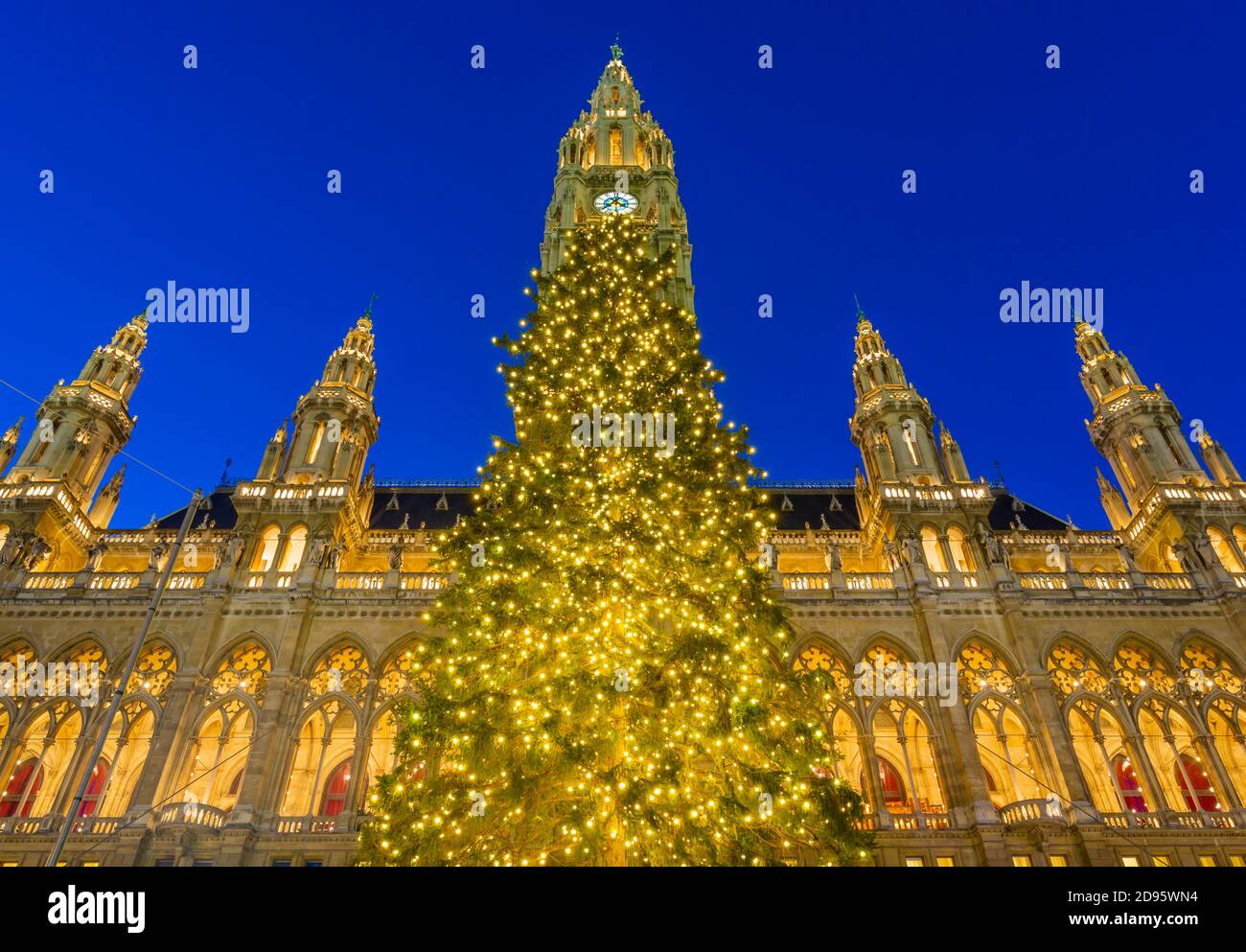Rathaus and Christmas Tree at night in Rathausplatz, Vienna, Austria ...