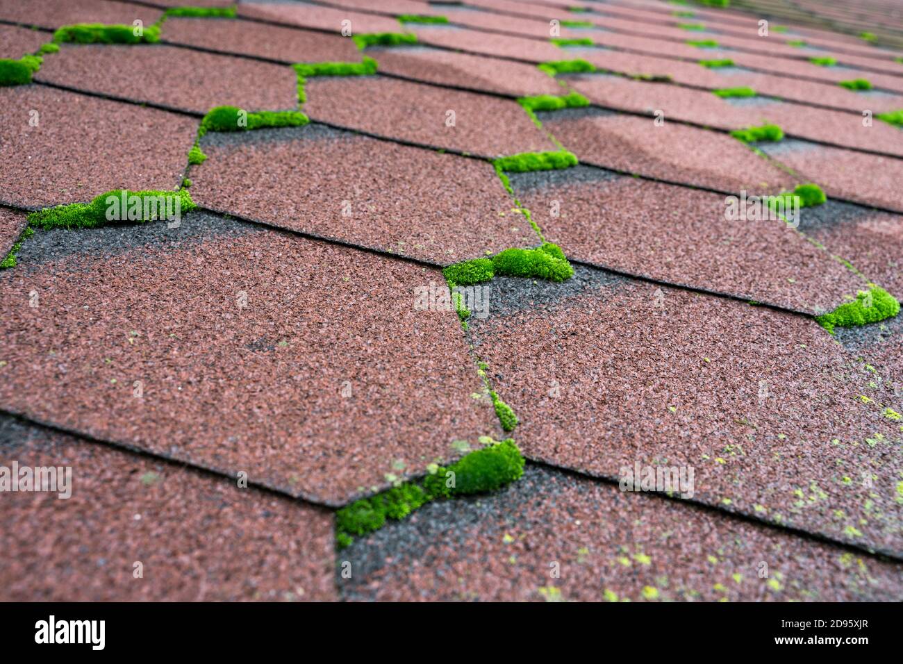 Green asphalt roof shingles texture hi-res stock photography and images ...