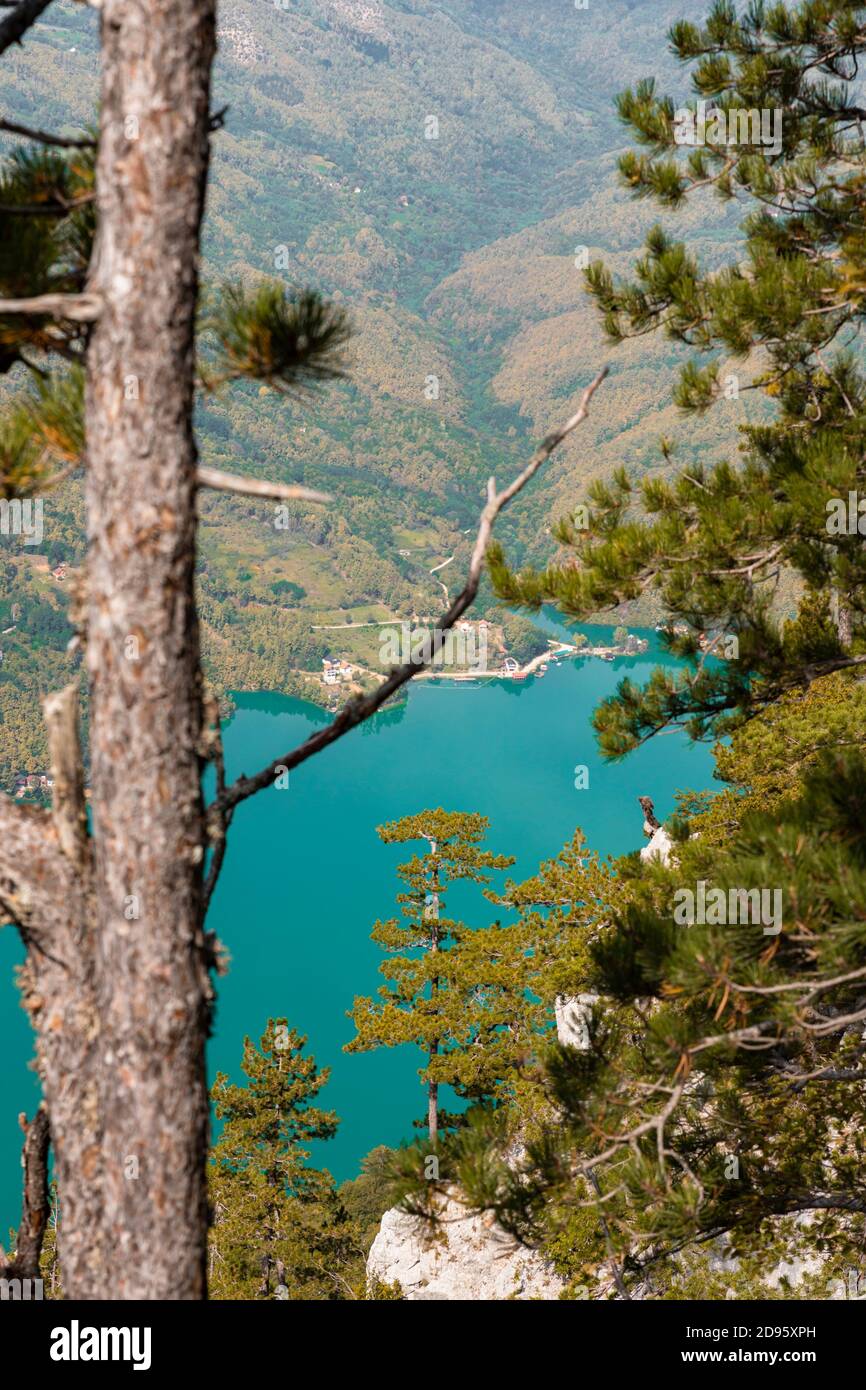 Tara national park and serbia hi-res stock photography and images - Alamy