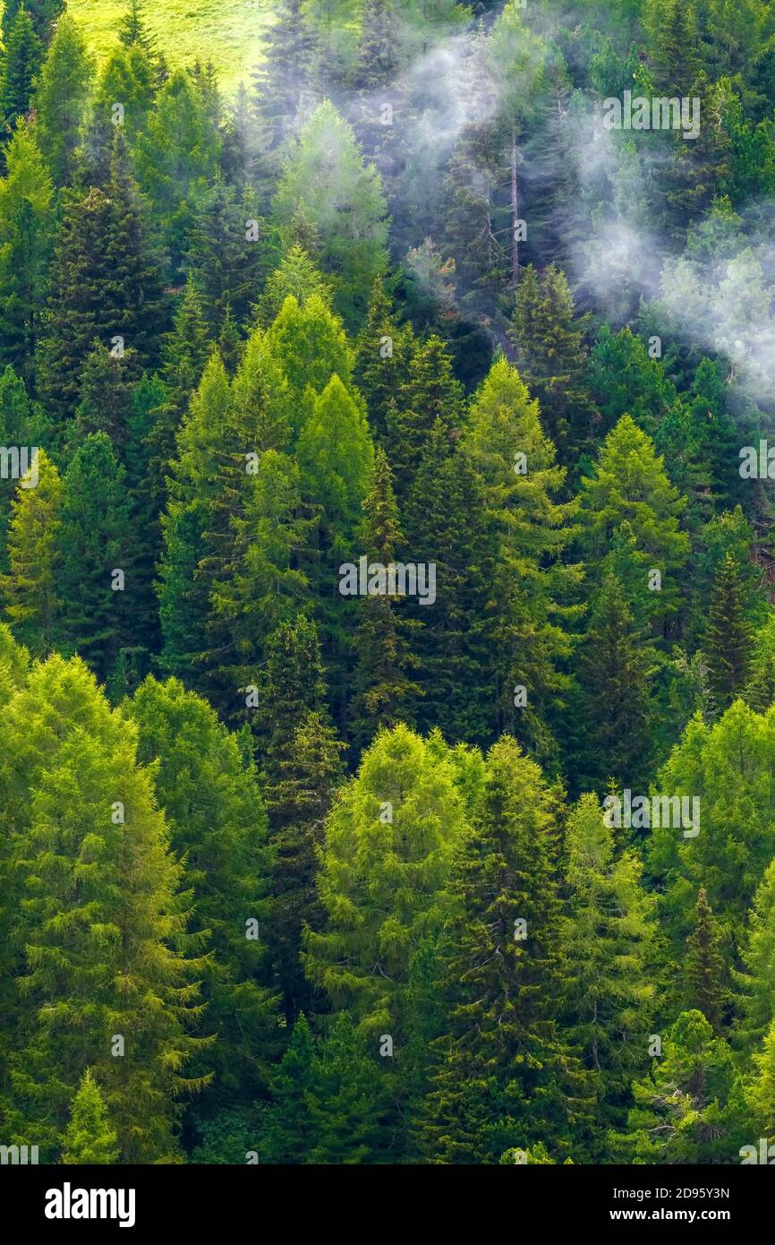 Natural backdrop hi-res stock photography and images - Alamy