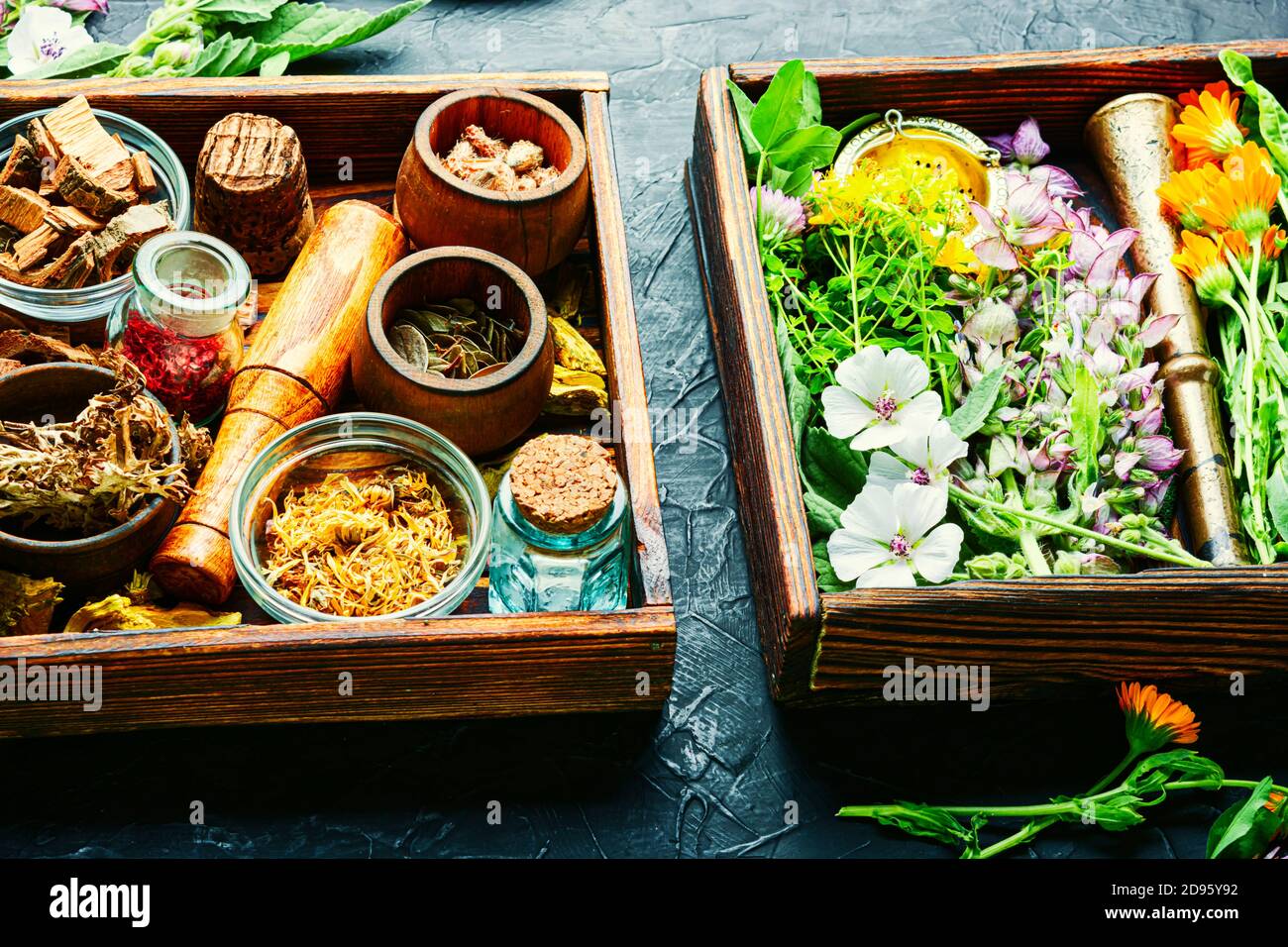 Medicinal healing hi-res stock photography and images - Alamy