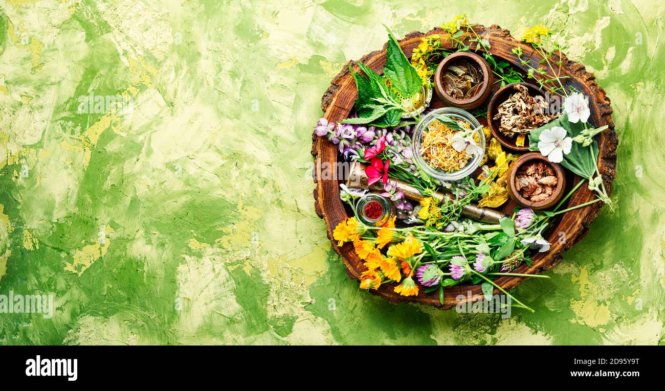 Fresh medicinal,healing herbs.Alternative medicine herbal.Herbal ...