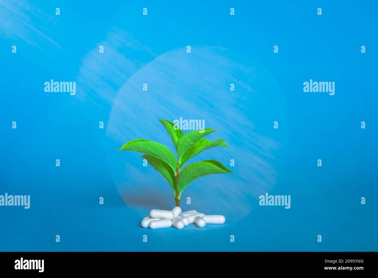 Green sprout on a pile of white pills in a natural circle of light and ...