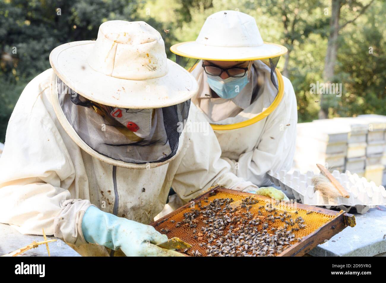Human beehive hi-res stock photography and images - Alamy