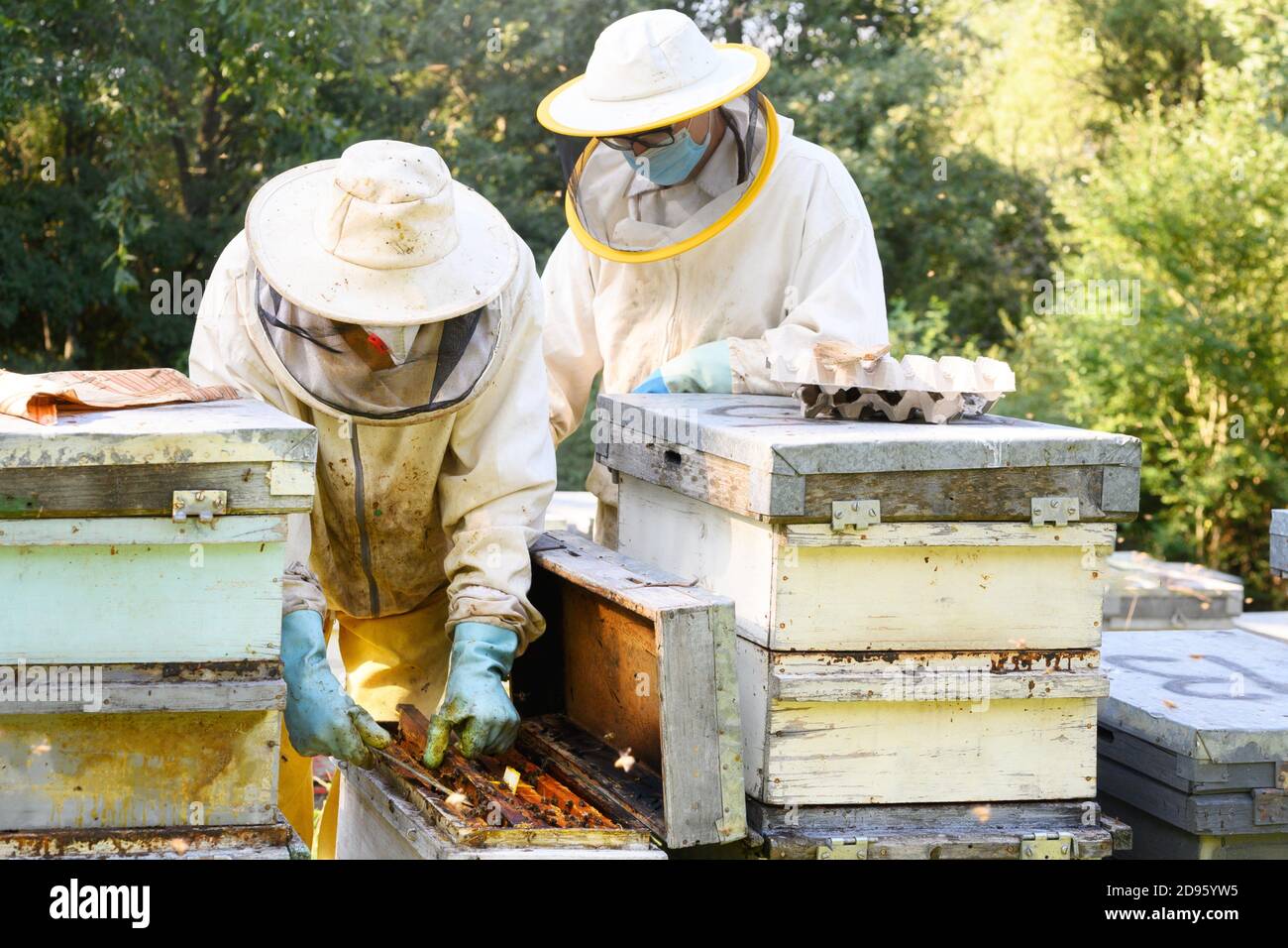 Human beehive hi-res stock photography and images - Alamy