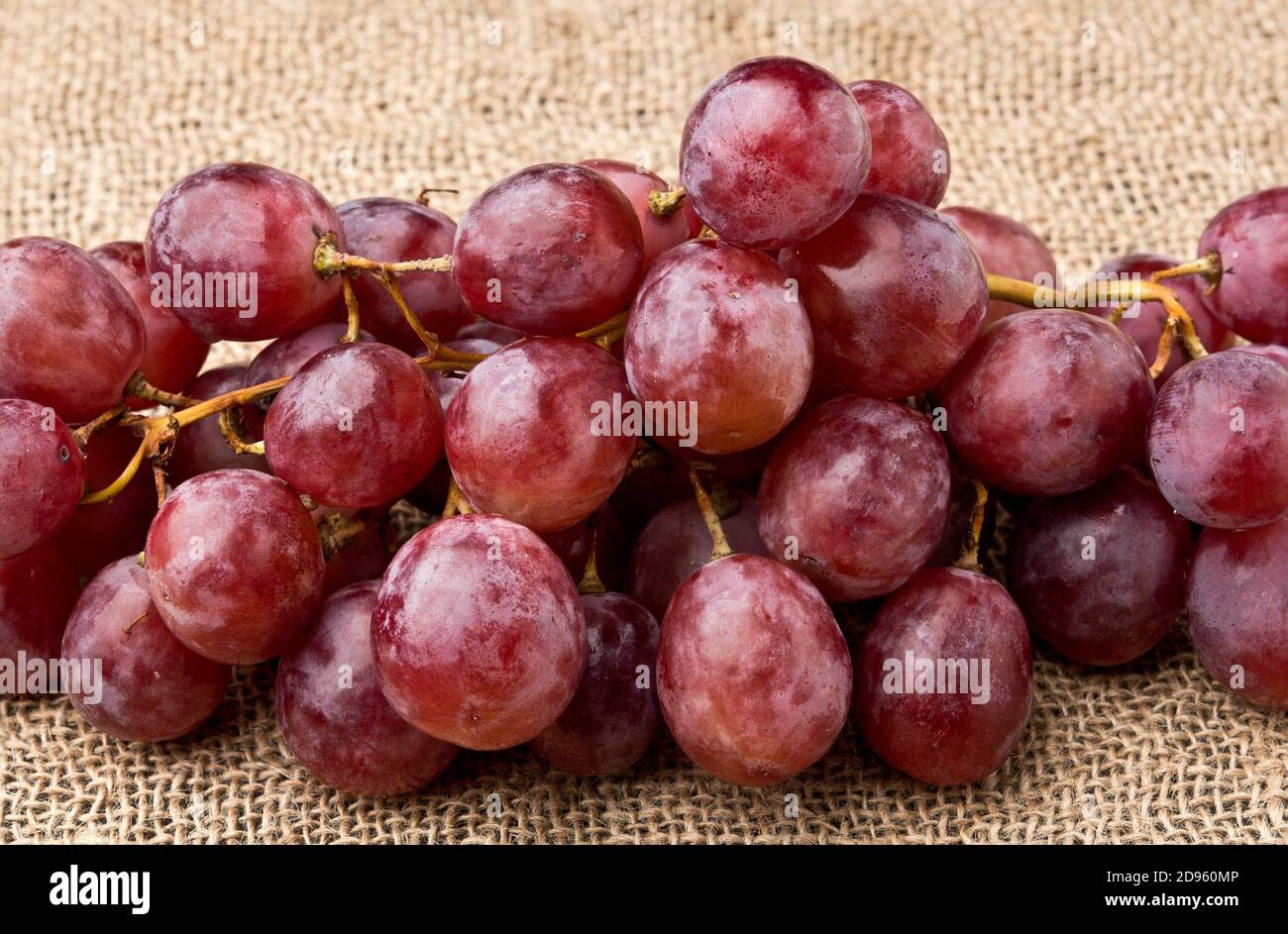Red Grapes Fruit