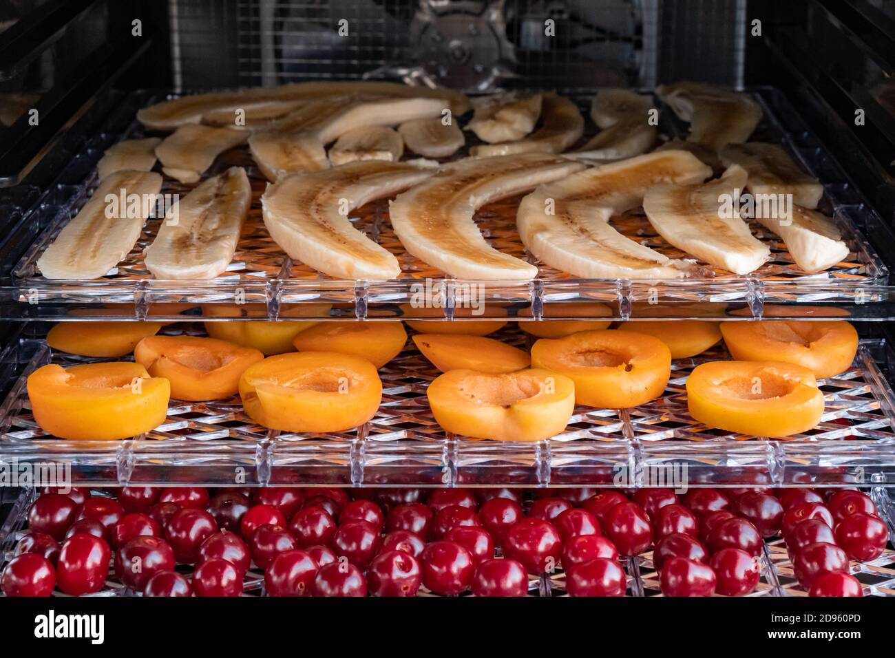 Electric drying machine for dehydration of products with horizontal ...