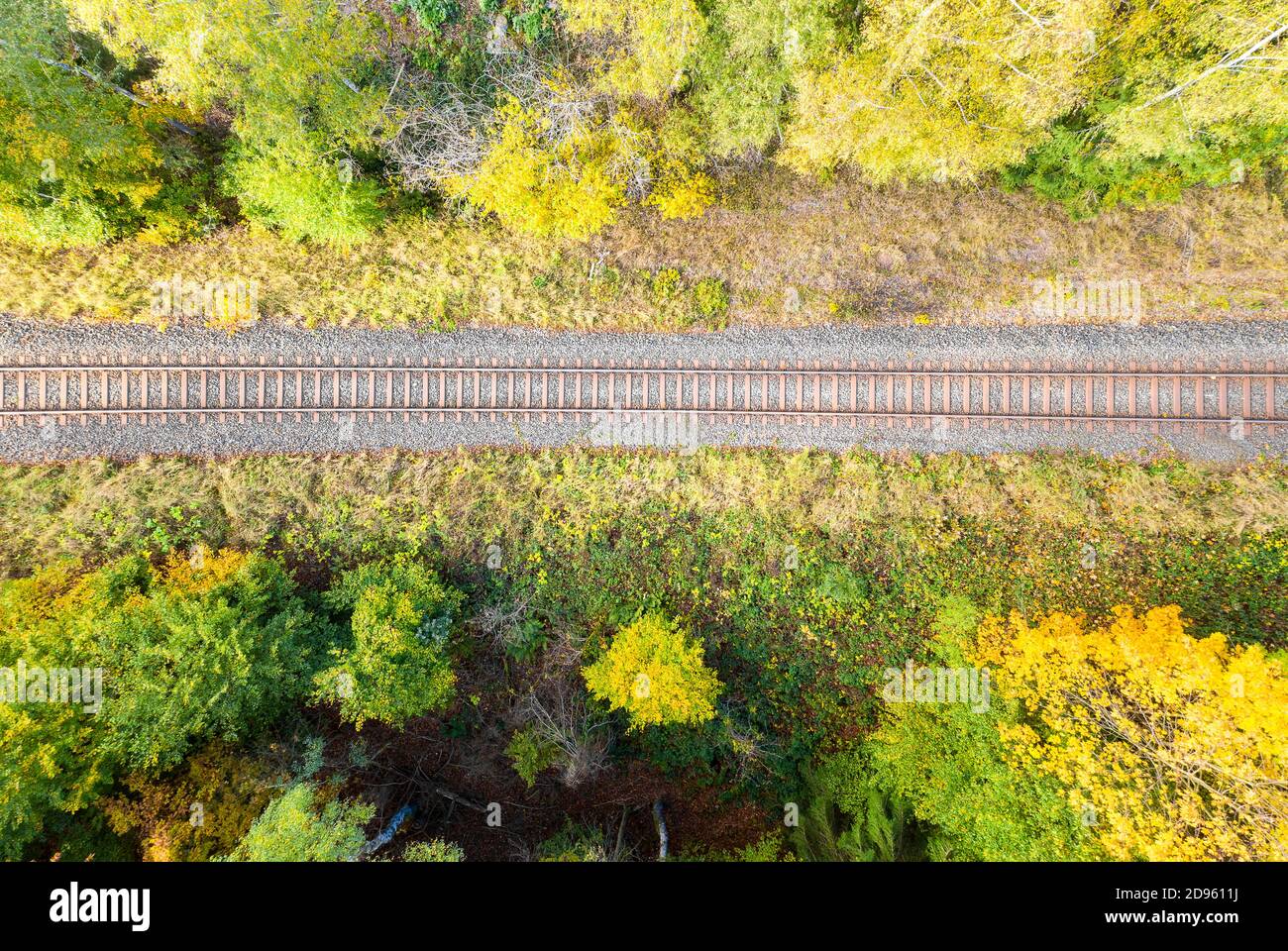 train Tracks in the forest top down from above Stock Photo - Alamy