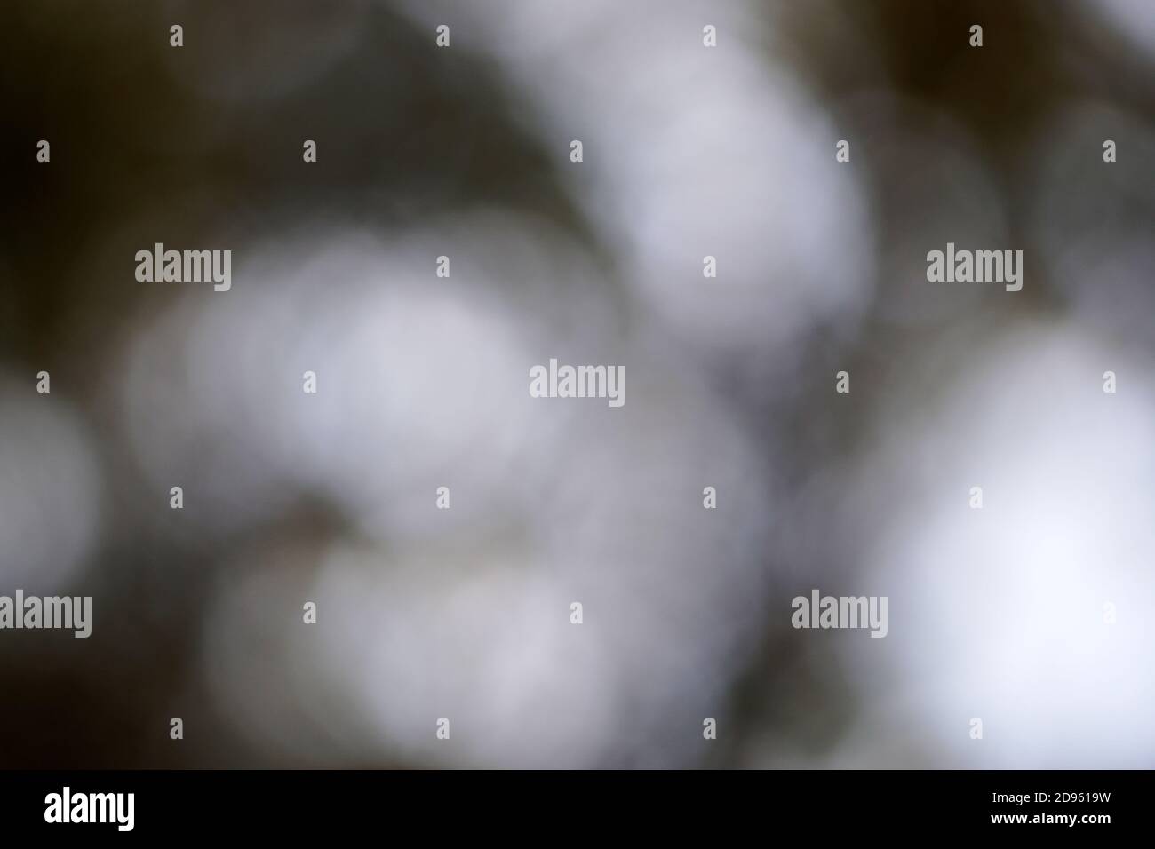 bokeh out of focus background from nature forest Stock Photo - Alamy
