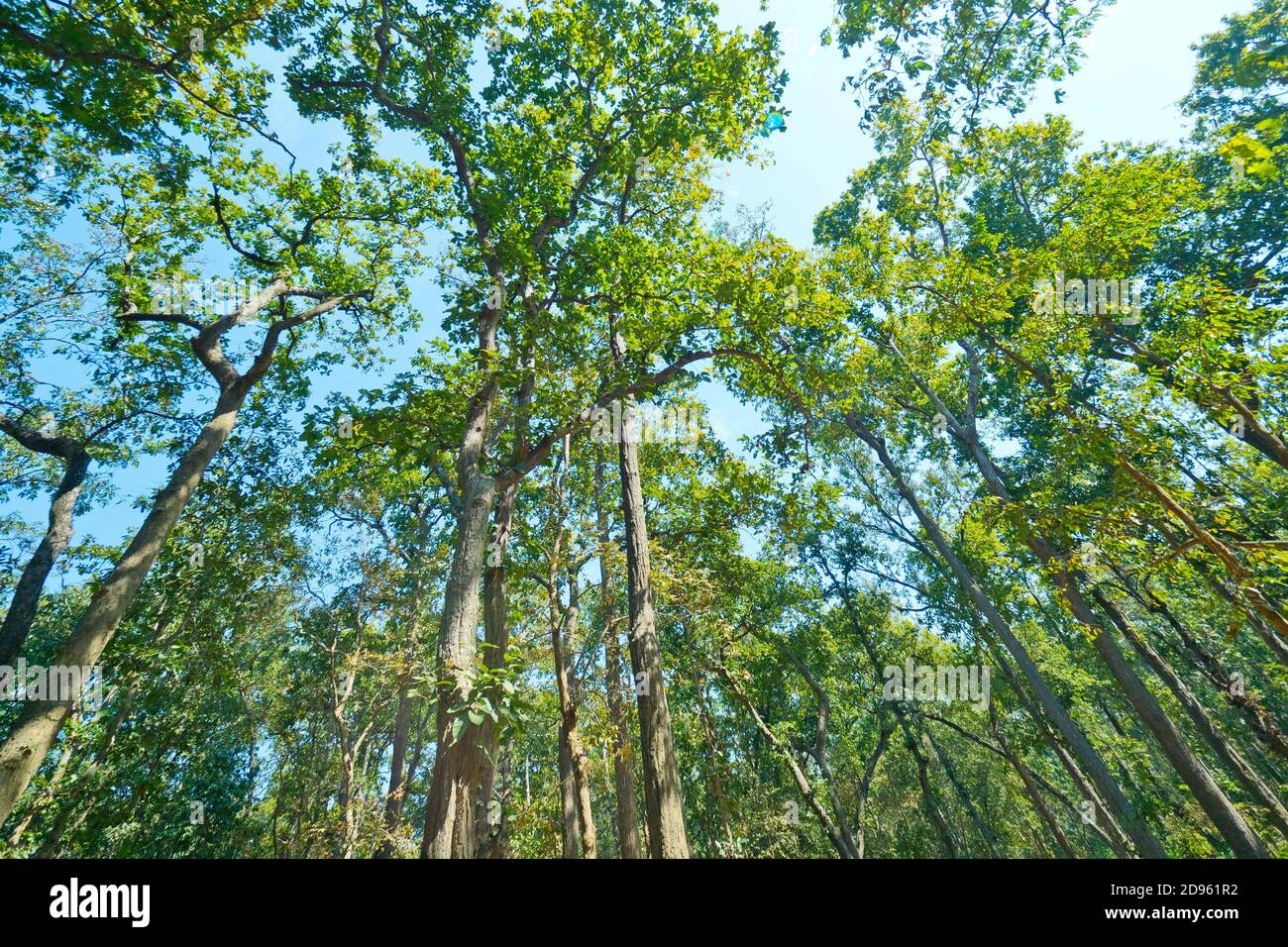 Riverine environment hi-res stock photography and images - Alamy