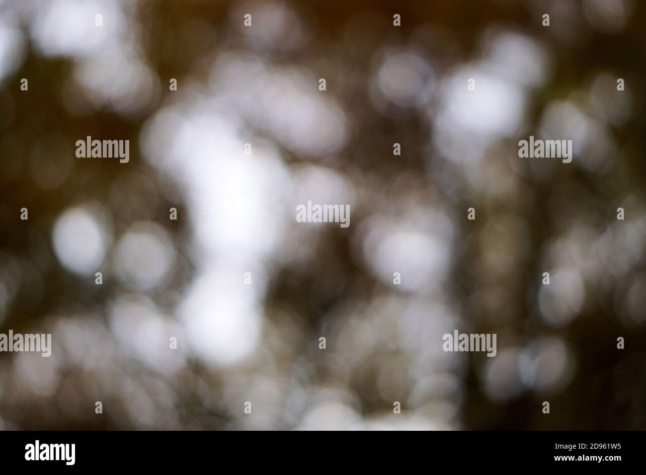 bokeh out of focus background from nature forest Stock Photo - Alamy