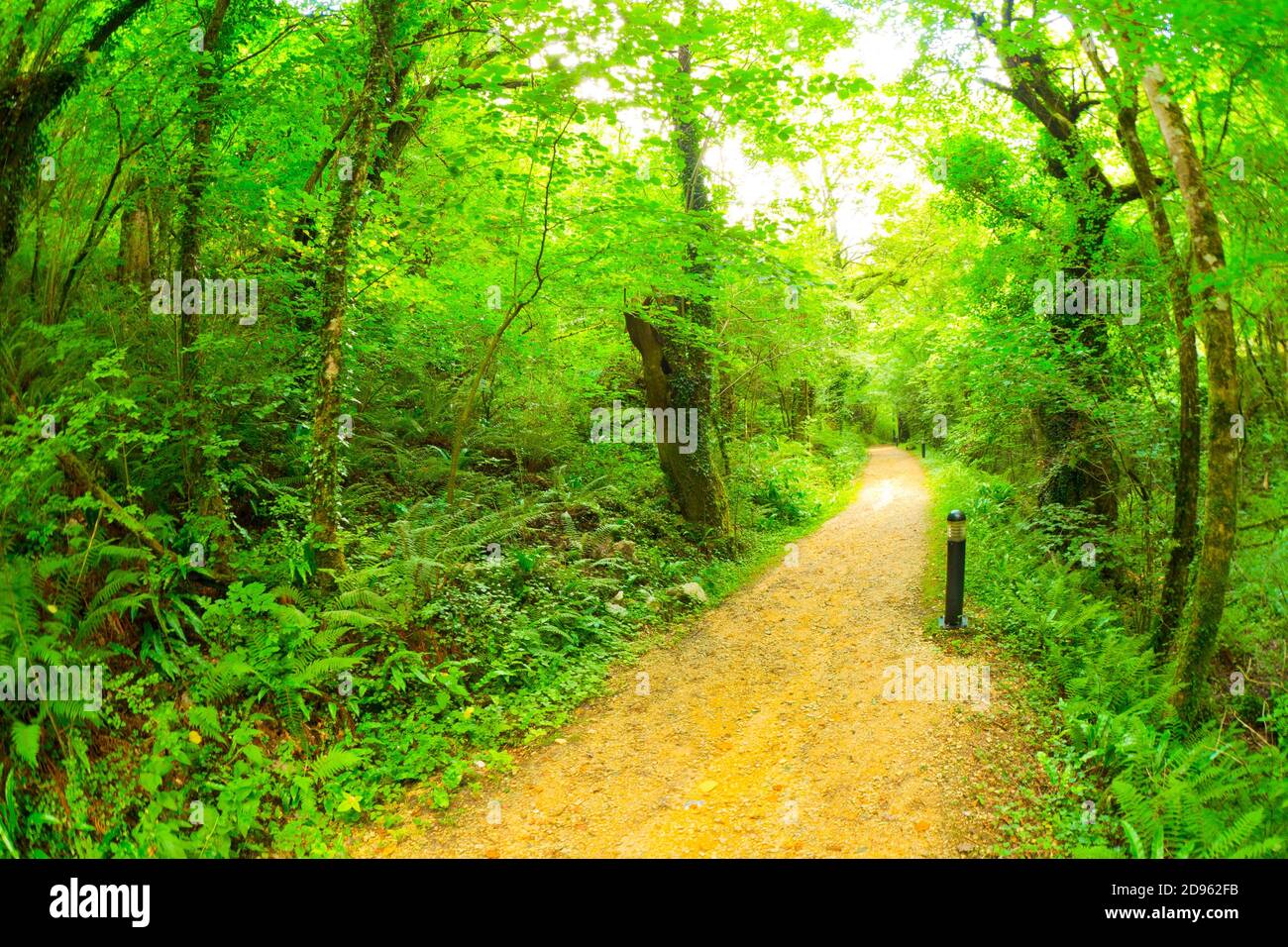 Onate expedition hi-res stock photography and images - Alamy