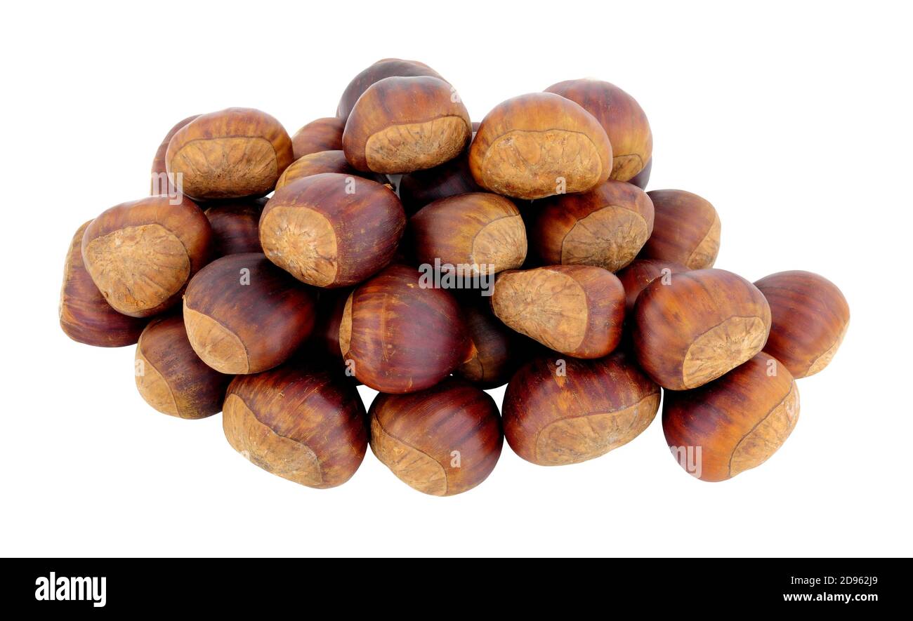 Spanish shells hi-res stock photography and images - Alamy