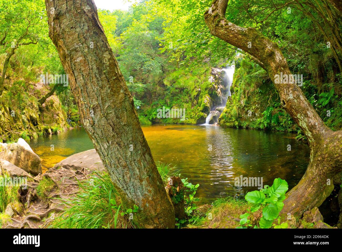 Viveiro spain hi-res stock photography and images - Alamy