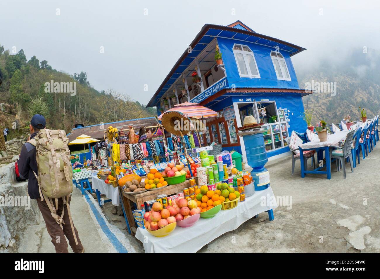 Camp habitat hi-res stock photography and images - Alamy