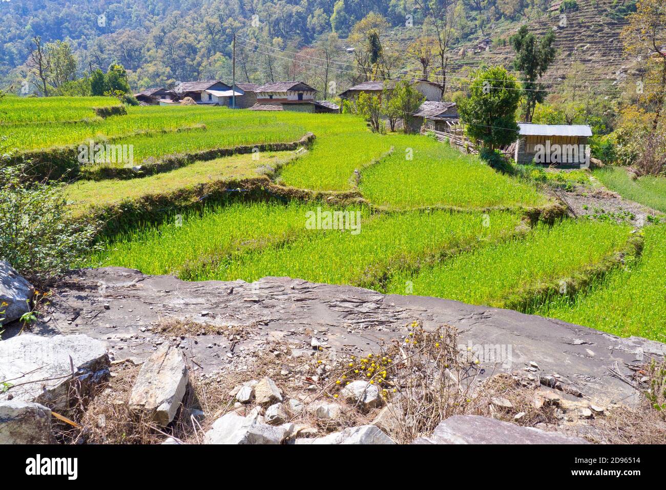 Agriculture for conservation hi-res stock photography and images - Alamy