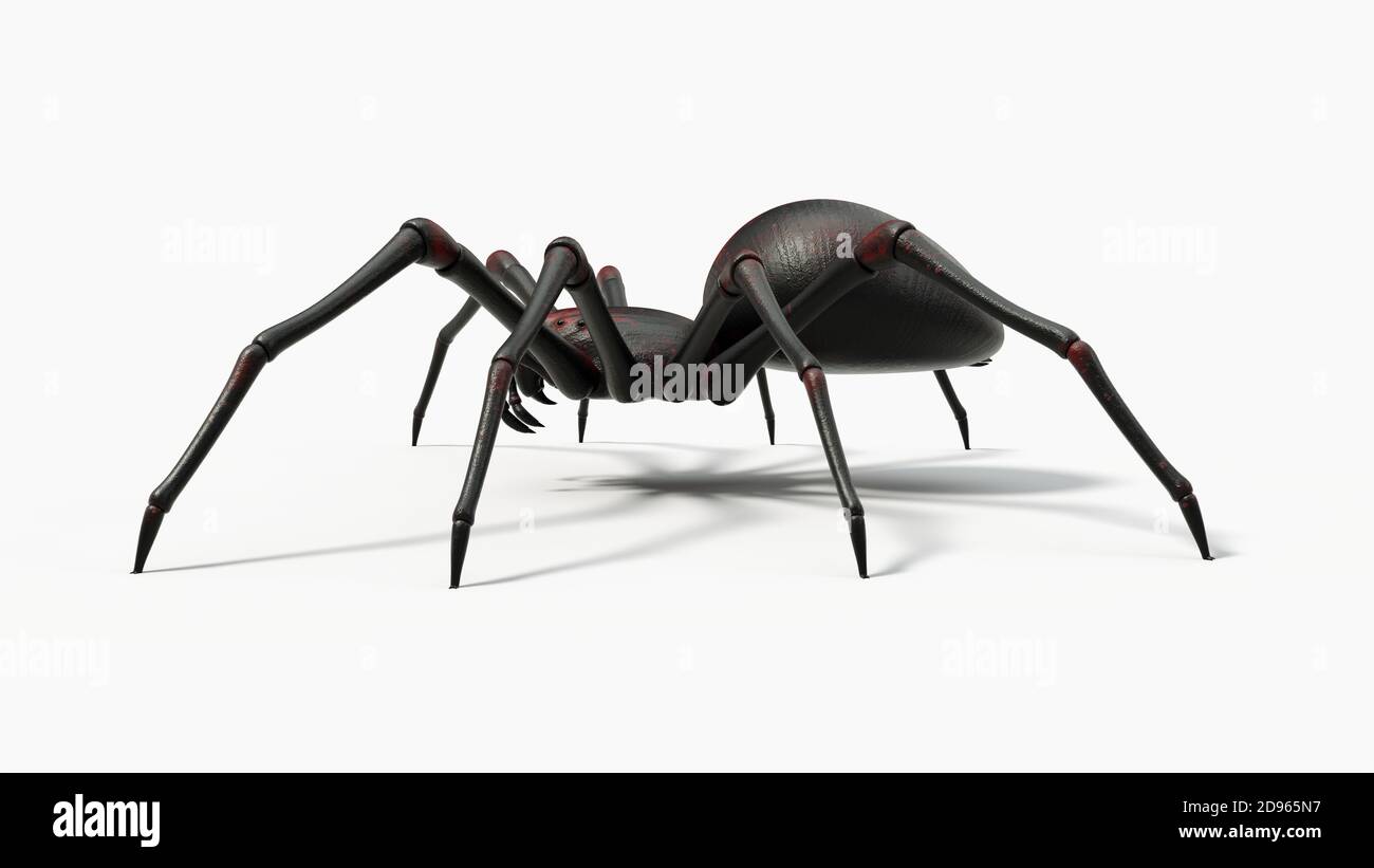 black spider with red skin details. suitable for horror, halloween ...