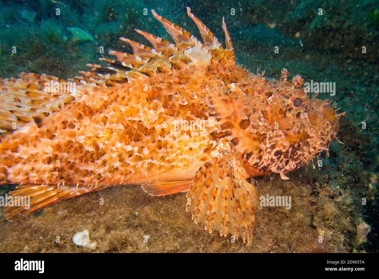 Mediterranean sea region hi-res stock photography and images - Alamy