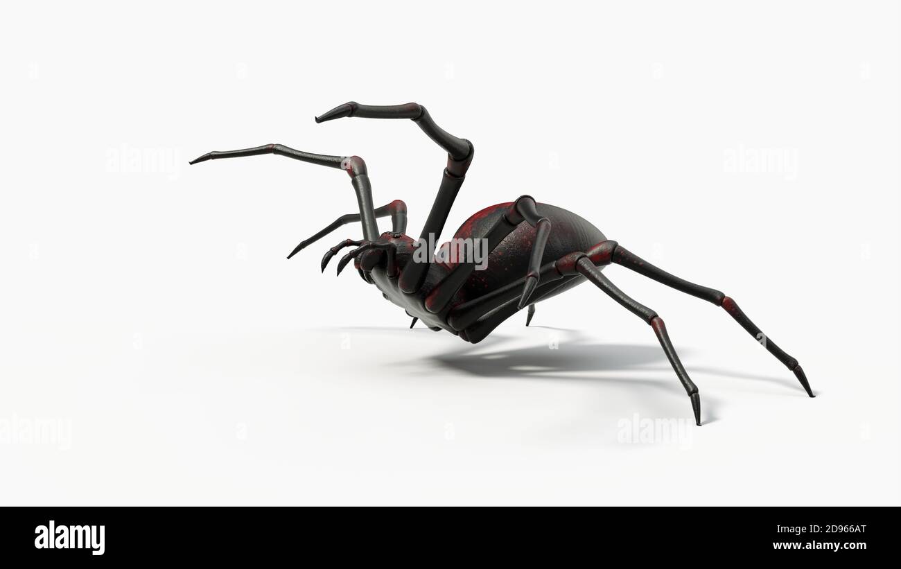 Spider side view hi-res stock photography and images - Alamy