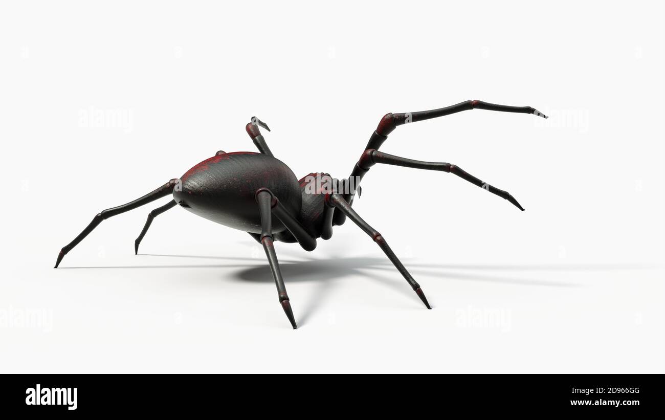 Atacking black spider. suitable for horror, halloween, arachnid and ...