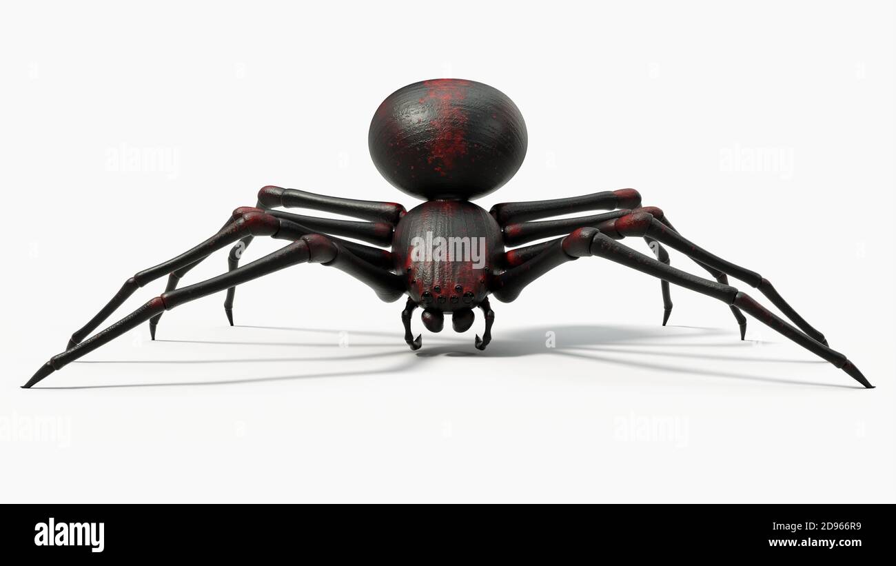 black spider showing body. suitable for horror, halloween, arachnid and ...