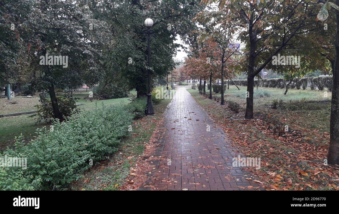 Wet park after autumn the rain Stock Photo - Alamy