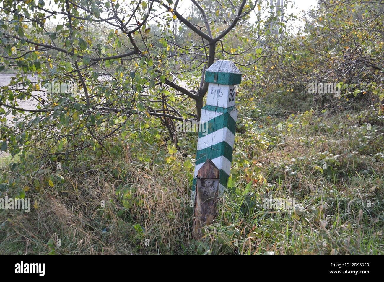 Forest fencing hi-res stock photography and images - Alamy