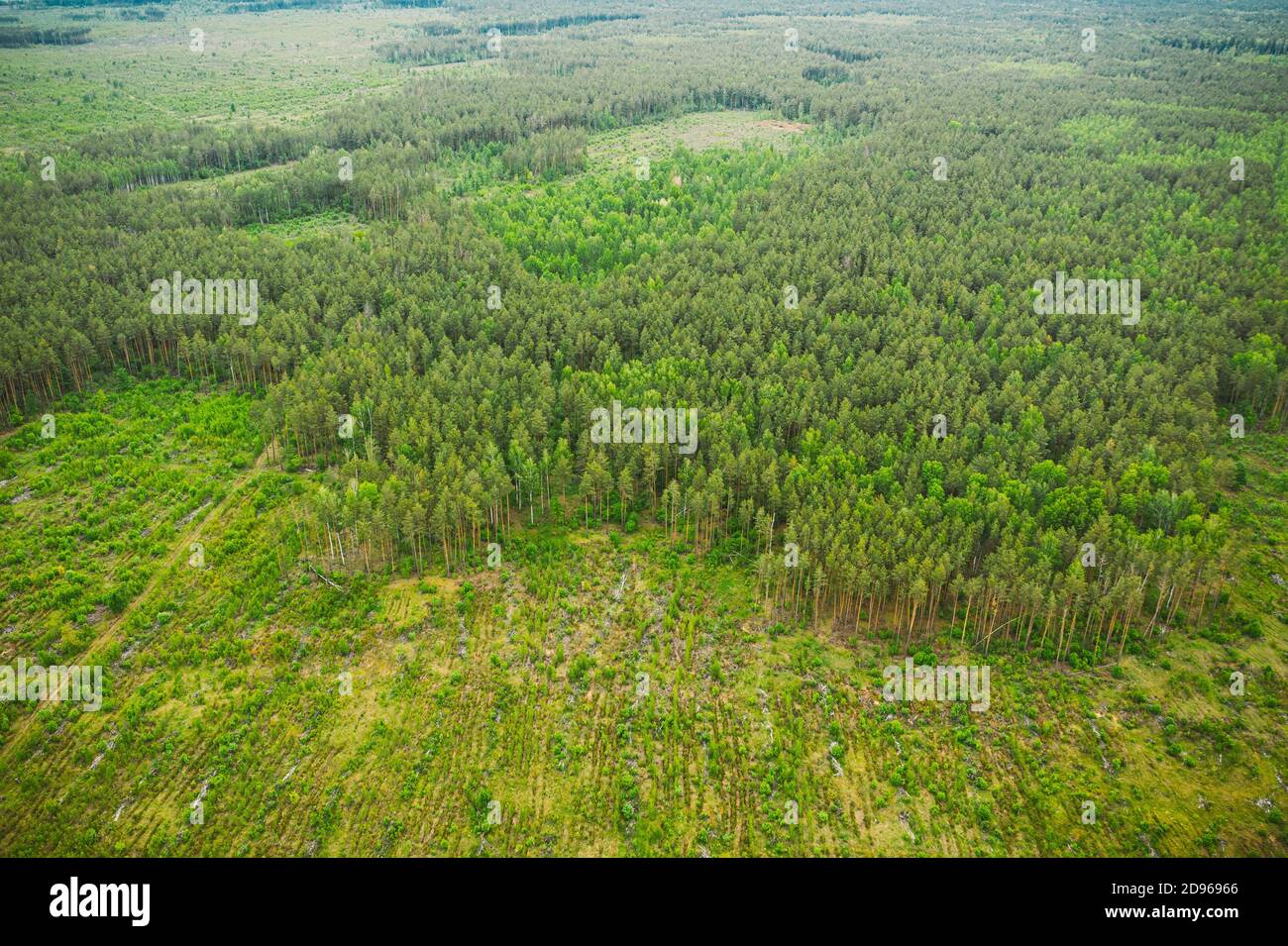 Large scale deforestation hi-res stock photography and images - Alamy