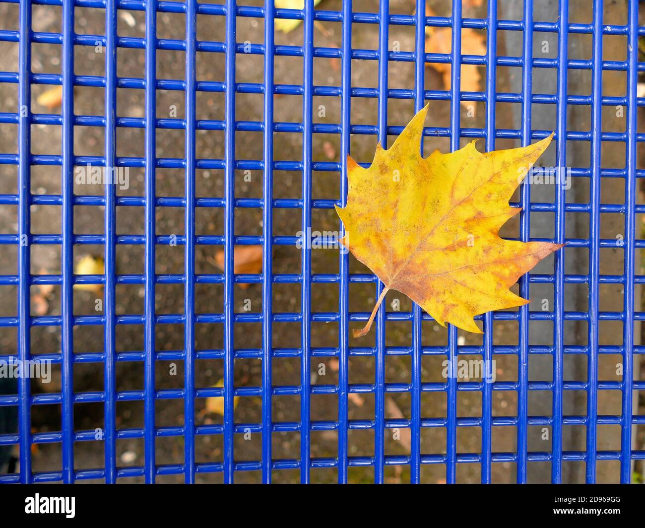 Grid colored hi-res stock photography and images - Alamy
