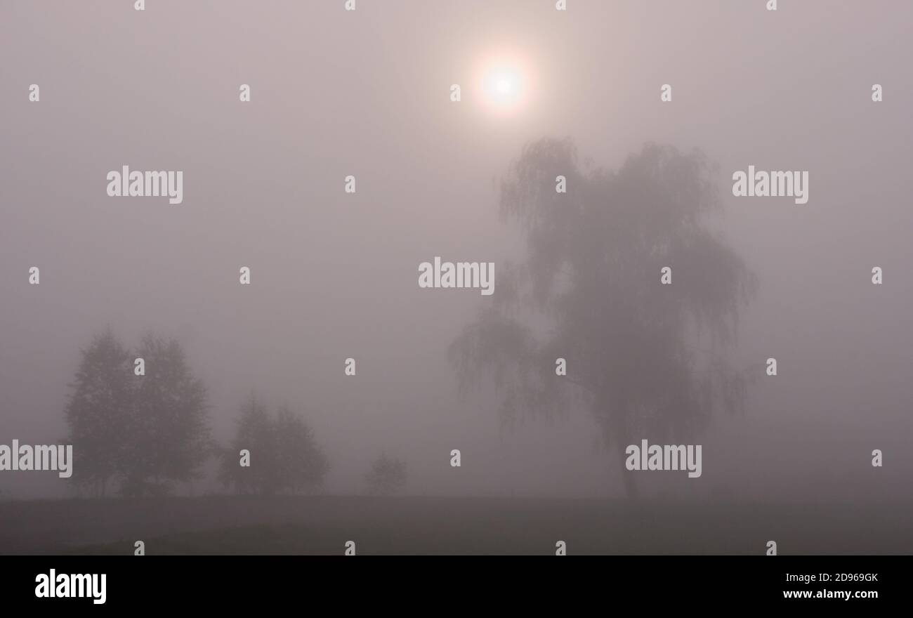 Sun is rising under the trees hi-res stock photography and images - Alamy