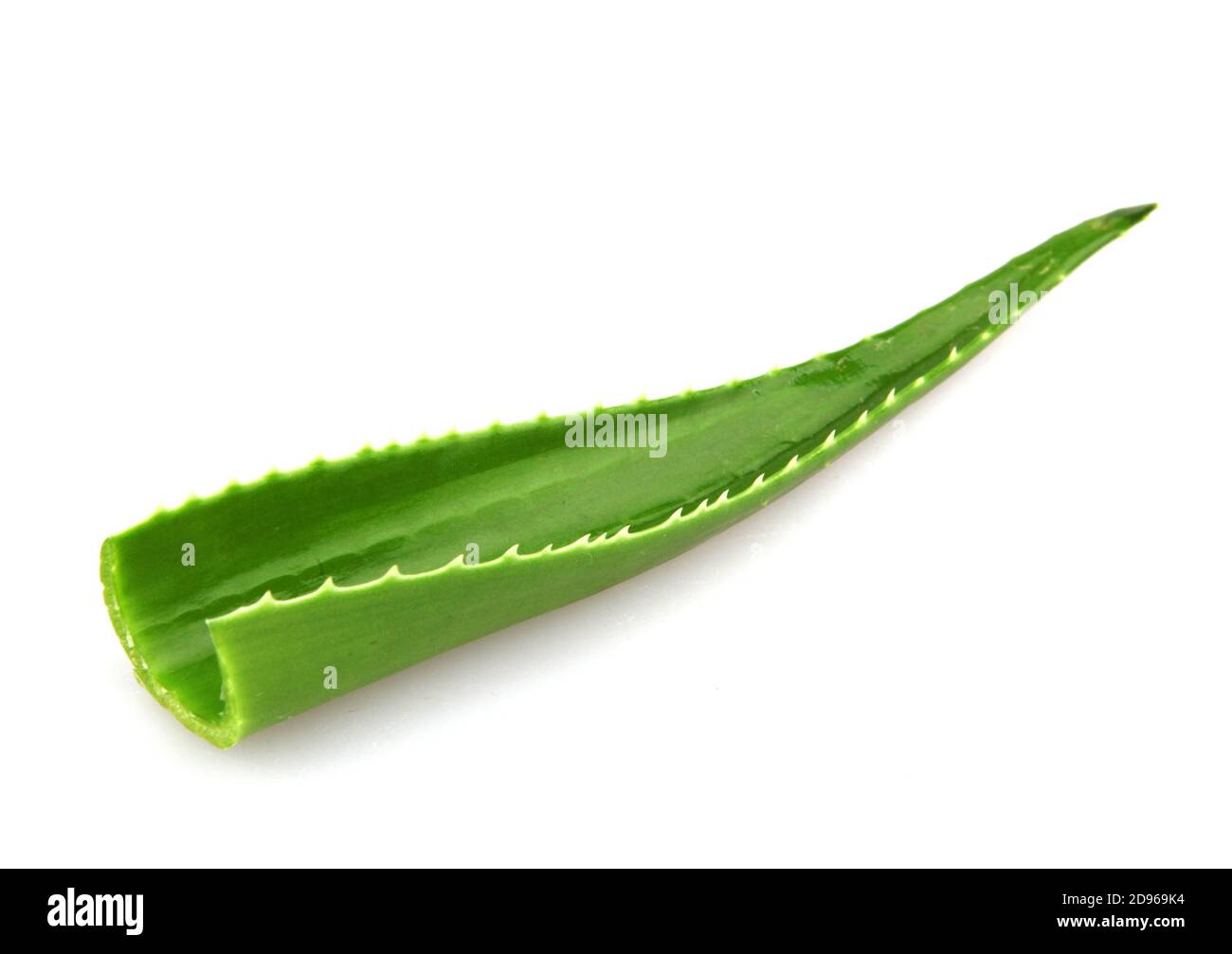 Genus aloe hi-res stock photography and images - Alamy
