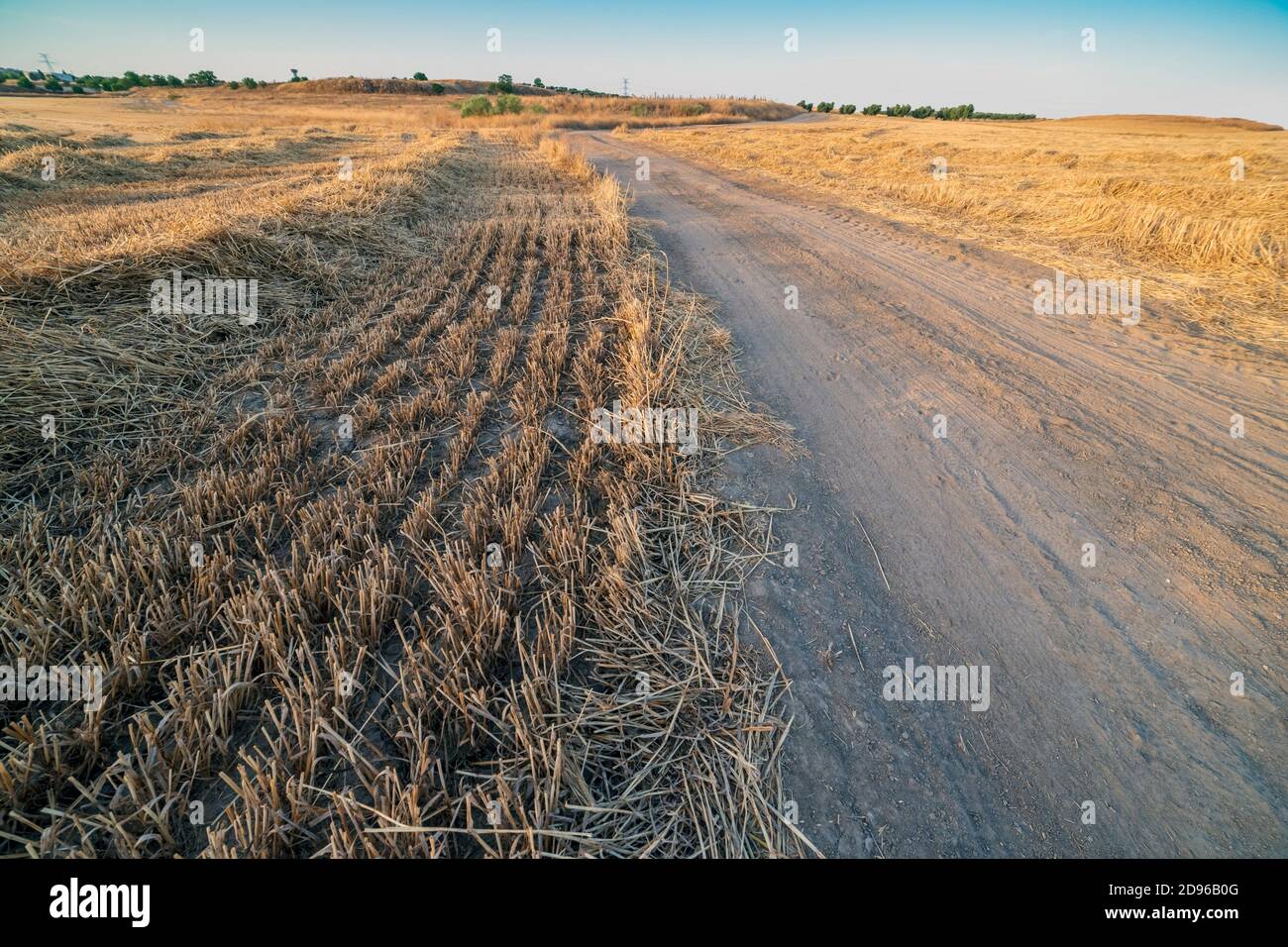 Pathway and stubble in summer time. Pinto. Madrid. Spain. Europe Stock ...