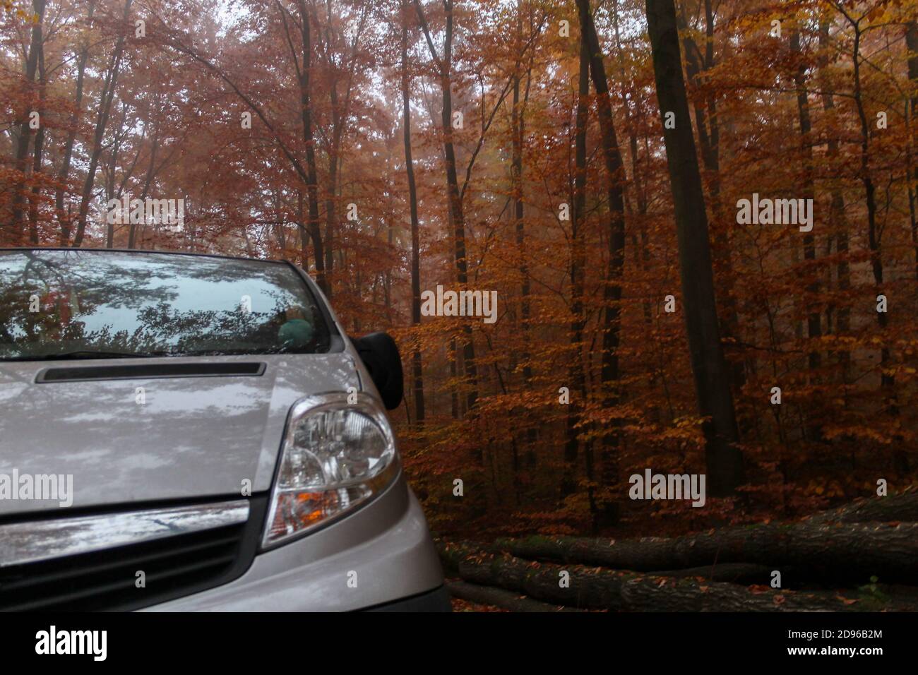 Amazing autumn forest view with a camper van and high trees with red ...