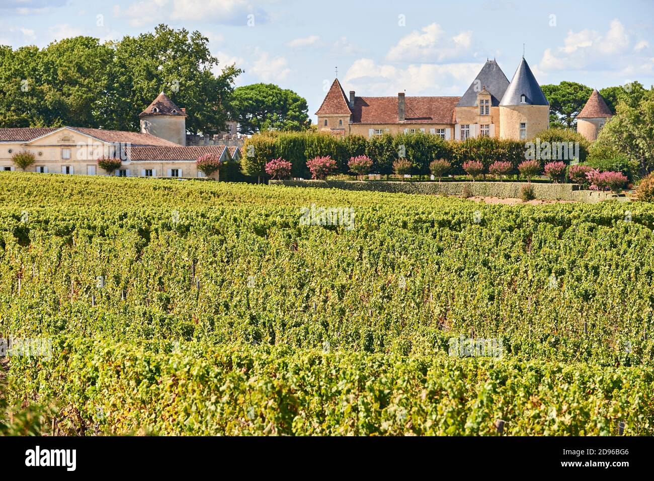 Sauternes vineyard hi-res stock photography and images - Alamy
