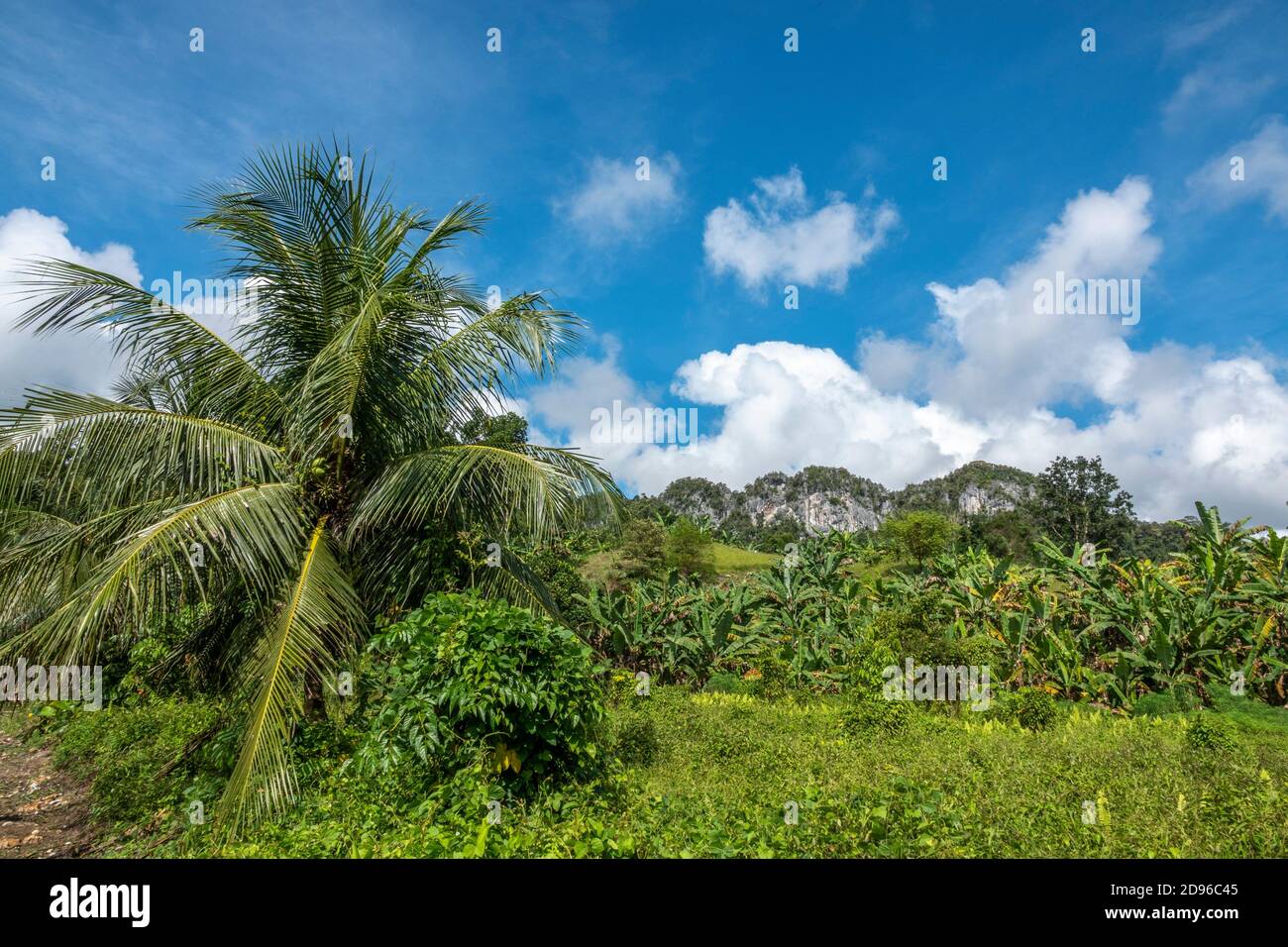 Padawan High Resolution Stock Photography and Images - Alamy