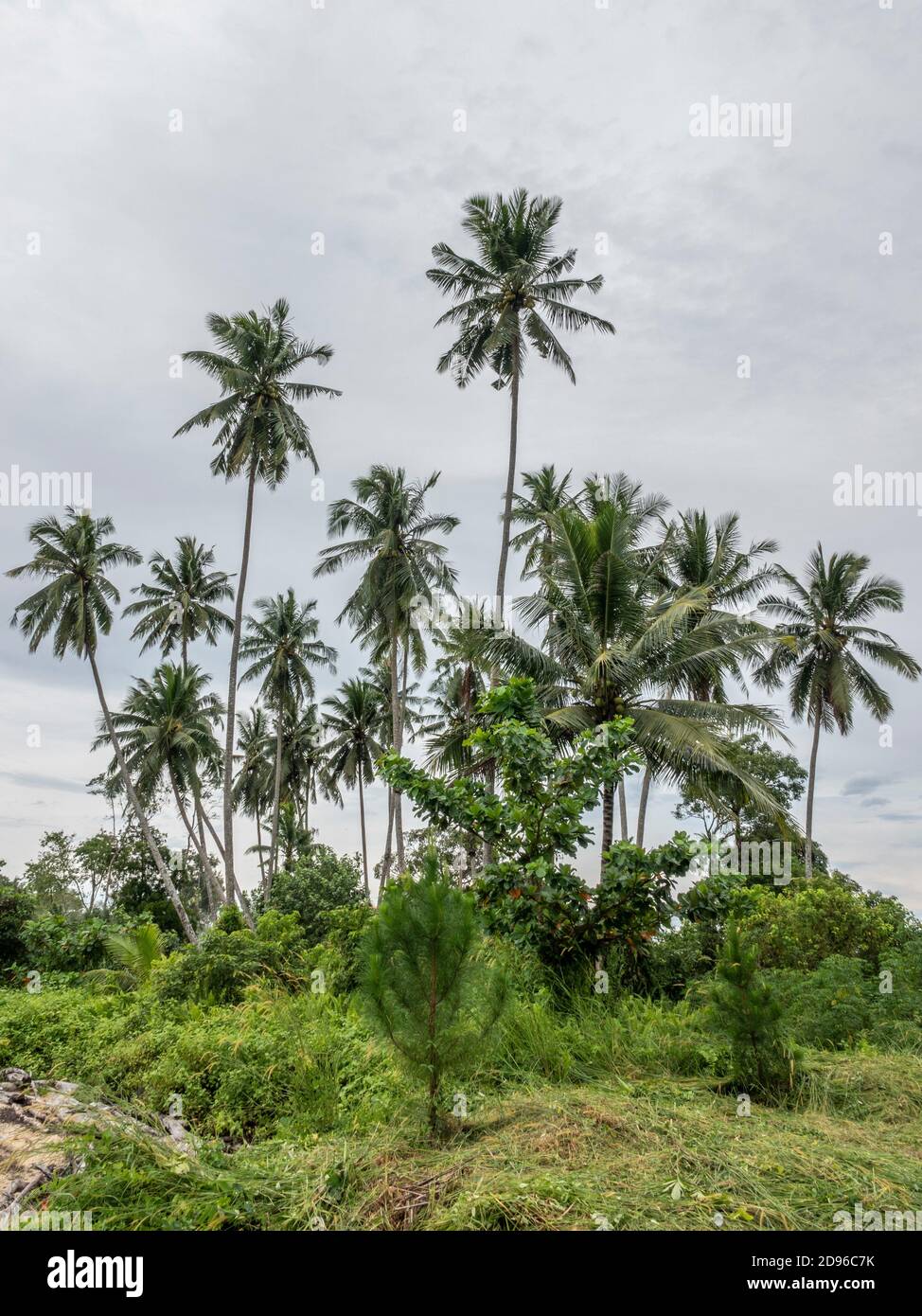 Rambungan beach hi-res stock photography and images - Alamy