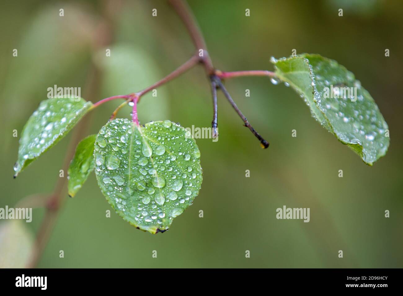 Initiative background hi-res stock photography and images - Alamy