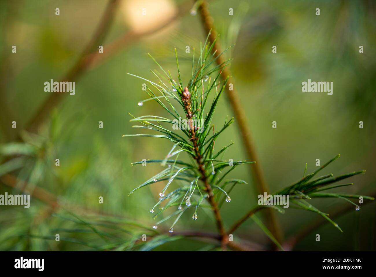 Initiative background hi-res stock photography and images - Alamy