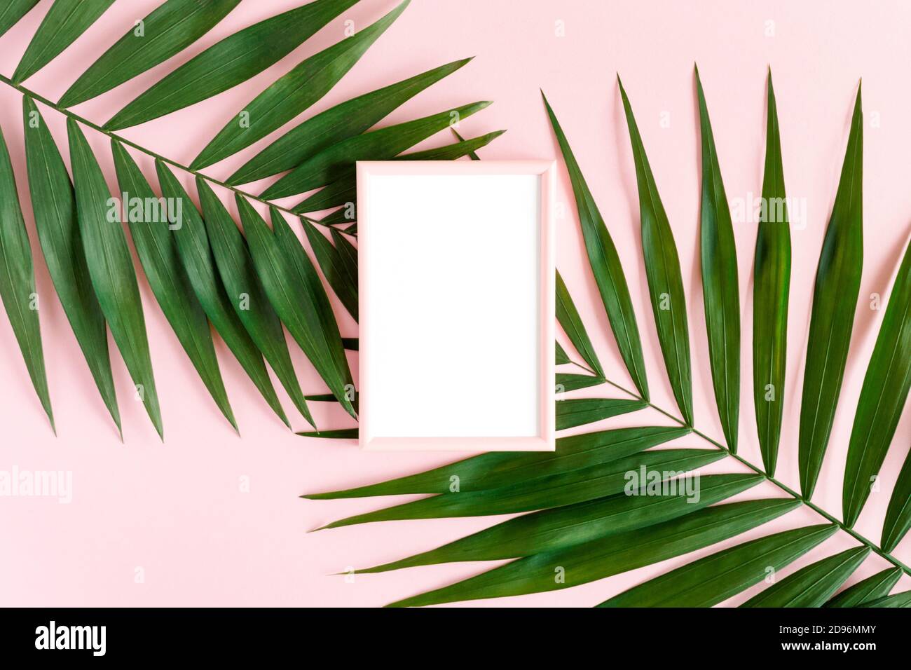 Stylish minimal composition with photo frame and green leaves on a pink ...