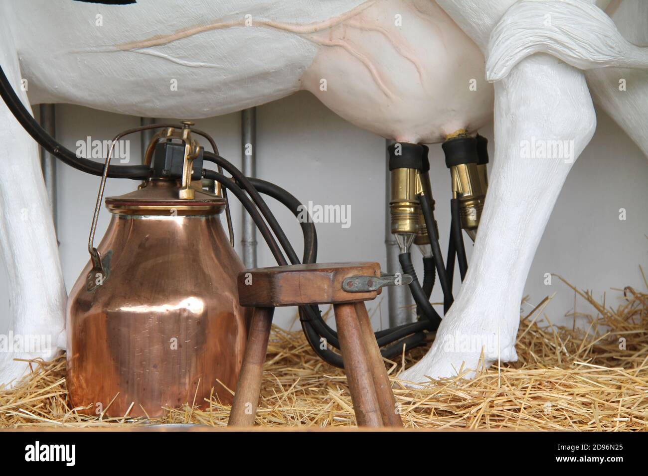 A Model Cow Fitted with a Portable Milking Machine Stock Photo - Alamy