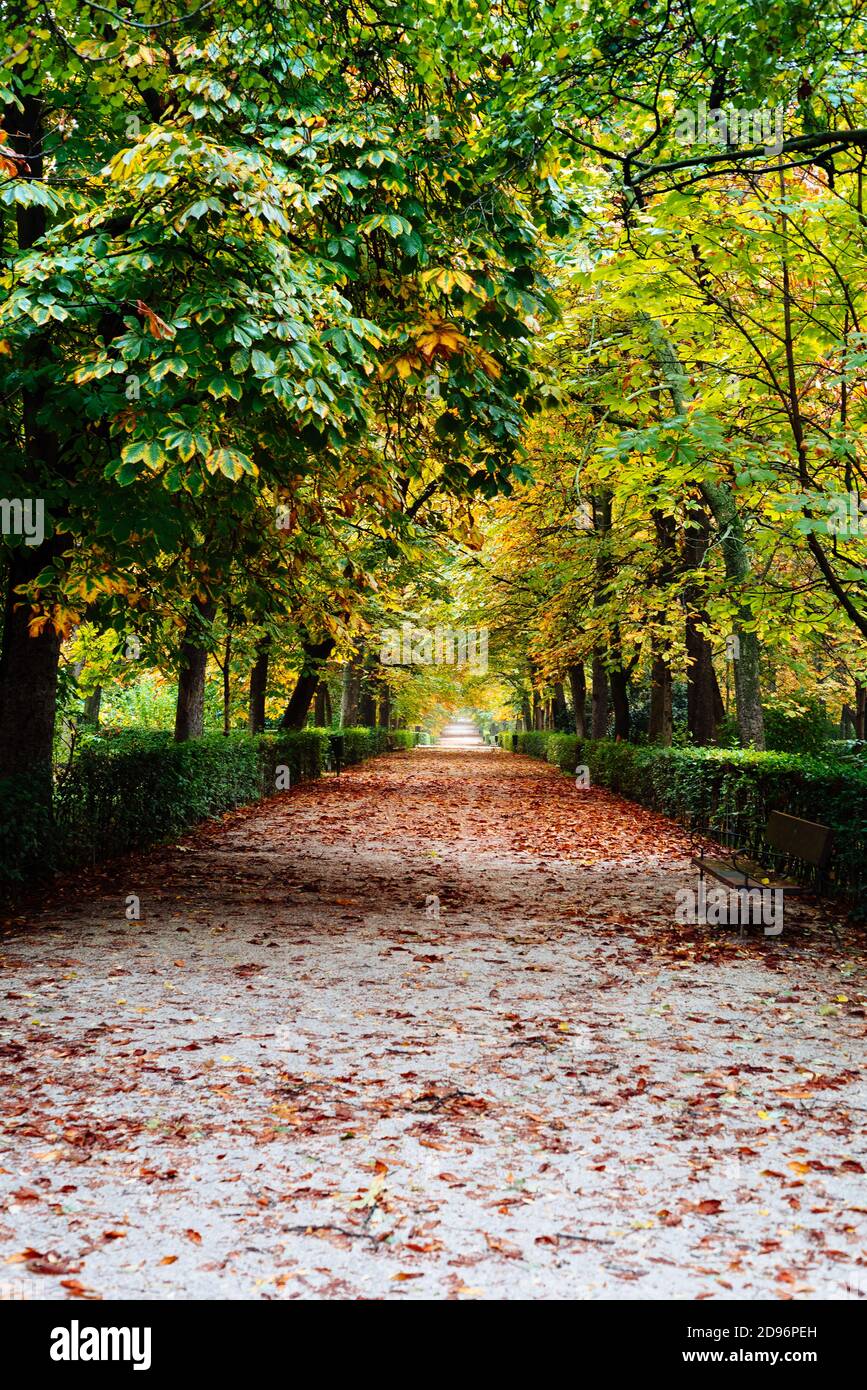 Beautiful autumn scenery in the Retiro park in Madrid, Spain Stock ...