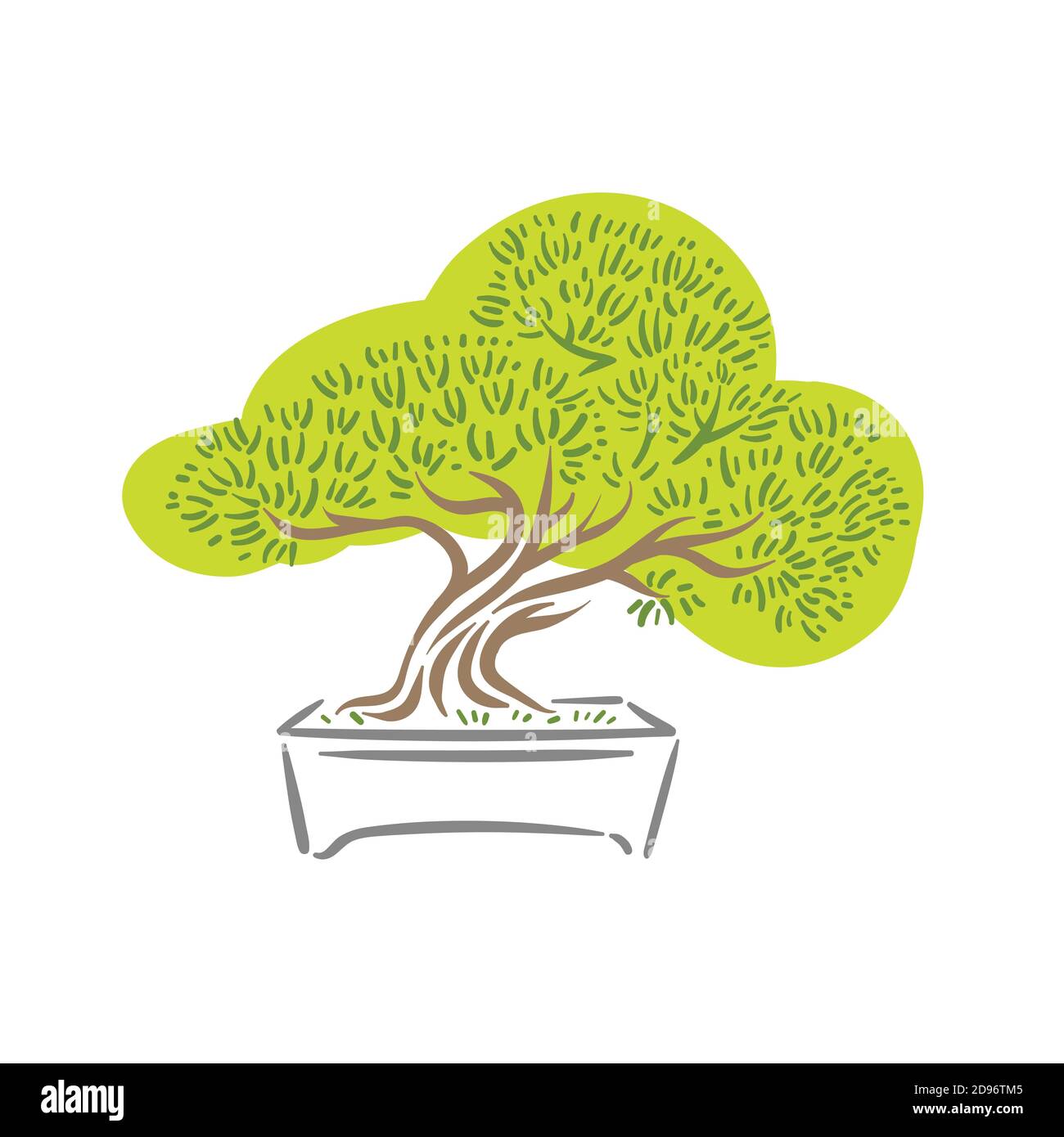 Bonsai Tree With Roots Drawing