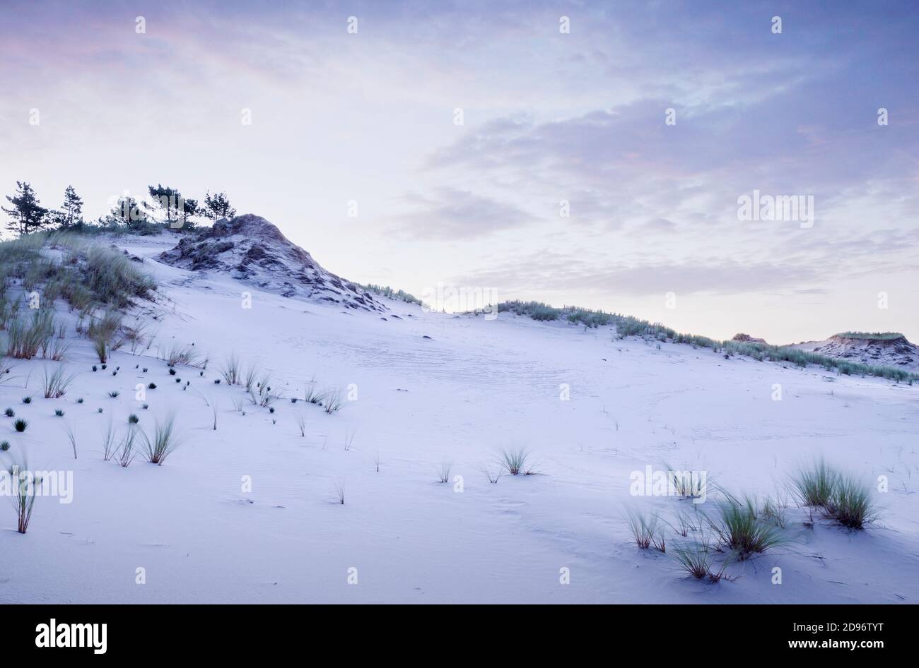 Slowinski national park hi-res stock photography and images - Alamy