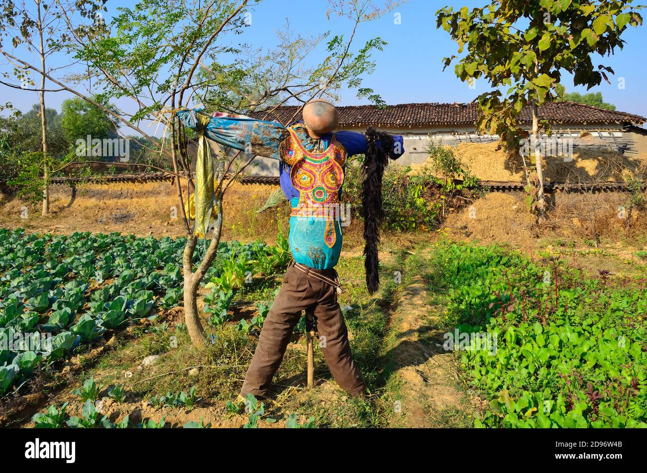 Indian Scarecrow High Resolution Stock Photography and Images - Alamy